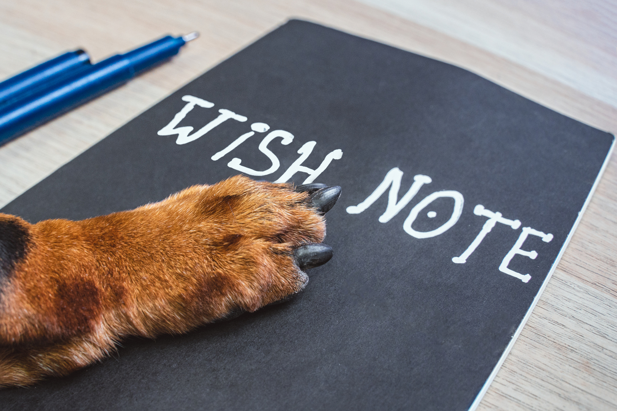 Our Current Wish List PAW Rescue Our Current Wish List PAW Rescue